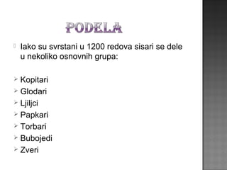 Sisari | PPT