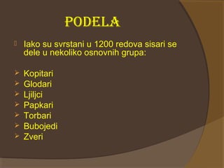 Sisari | PPT