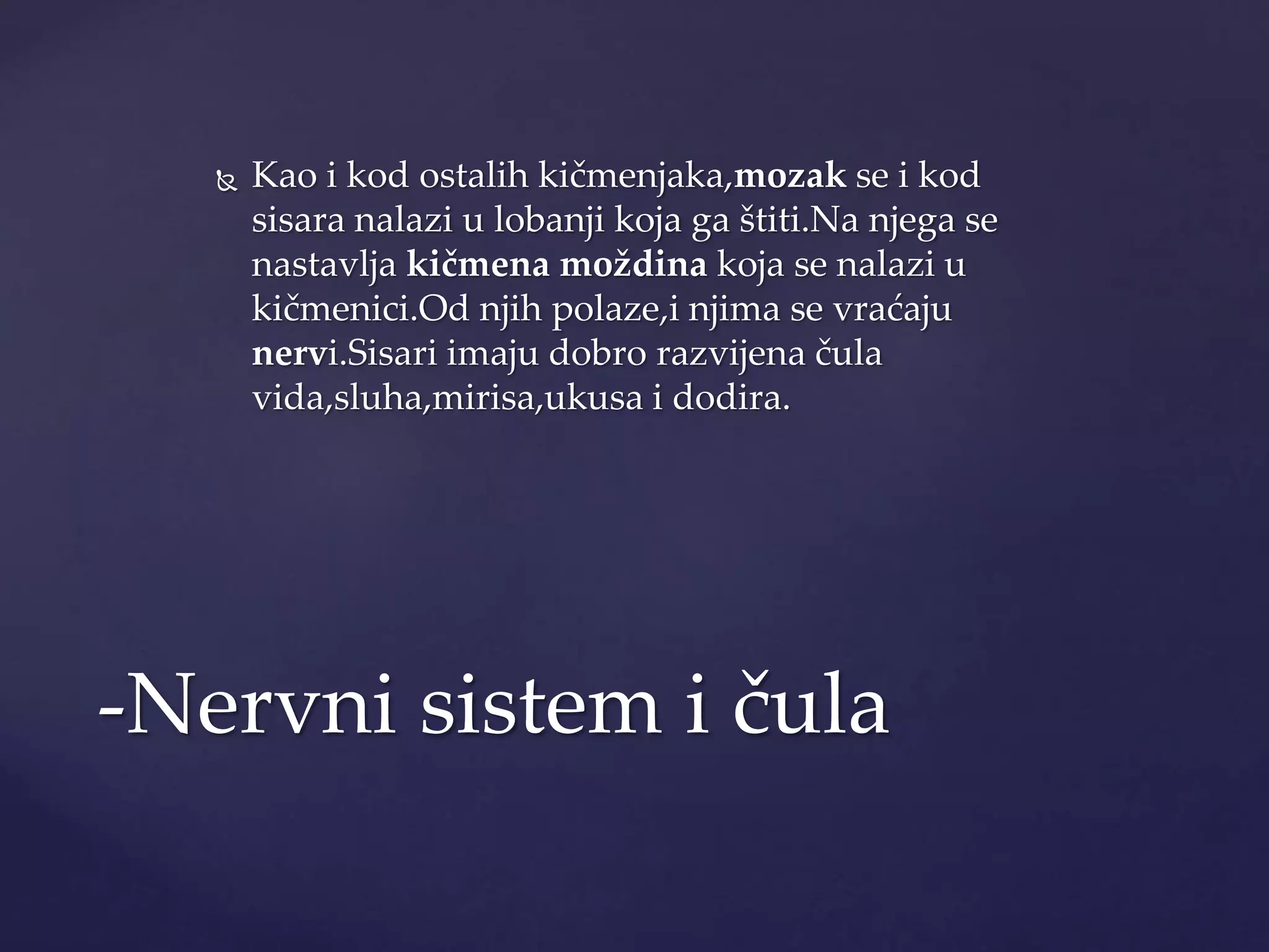 Sisari biologija | PPTX