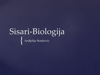 Sisari biologija | PPTX