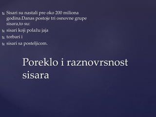 Sisari biologija | PPTX