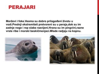 Sisari biologija 2 | PPTX