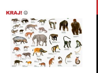 Sisari biologija 2 | PPTX