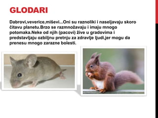Sisari biologija 2 | PPTX