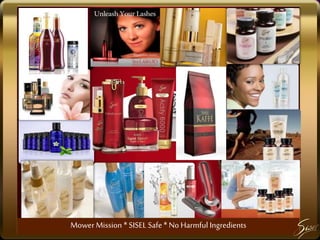 Sisel Business Presentation Overview 2015 | PPT | Free Download