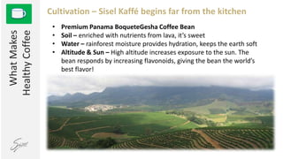 SISEL Kaffe - World's Best Tasting Coffee | PPT