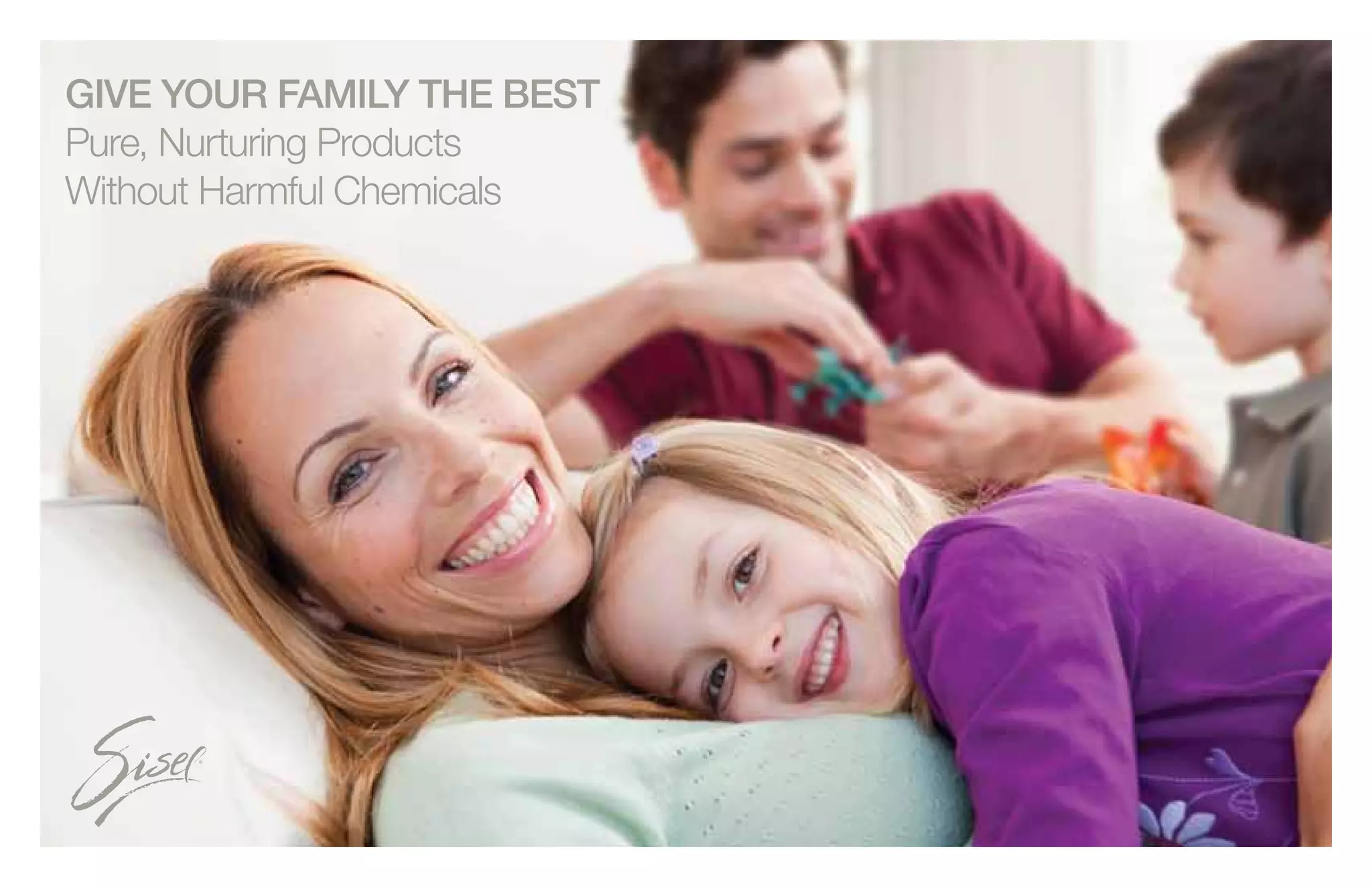 Sisel safe brochure | PDF