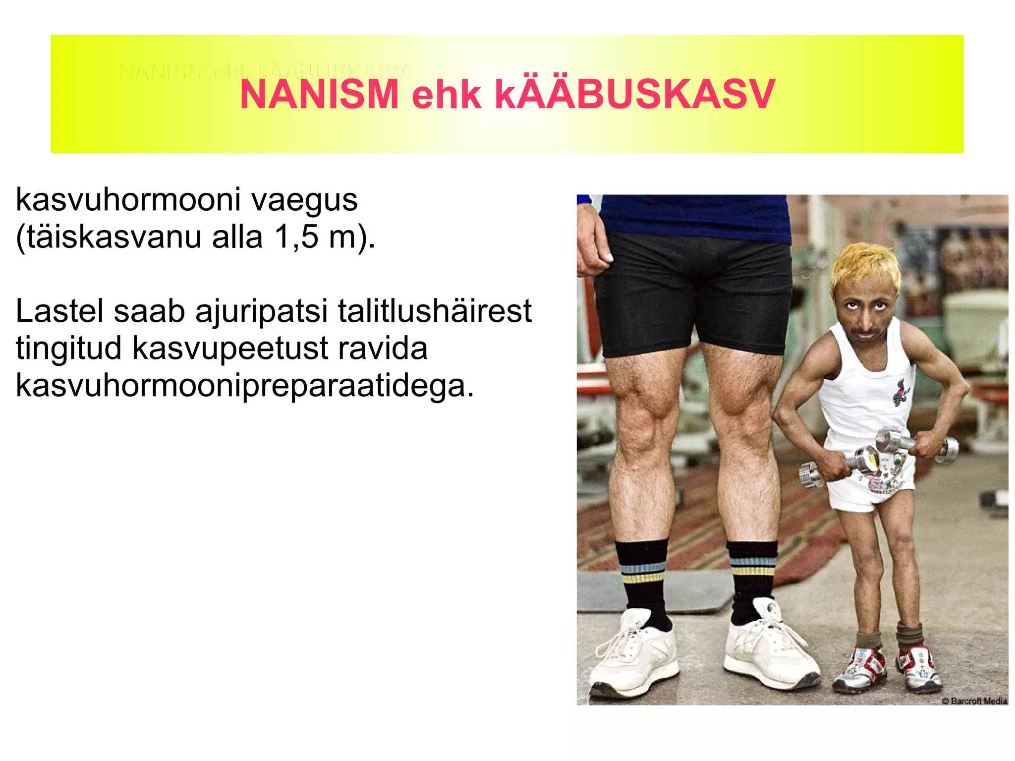 Sisen.Haigused | ODP