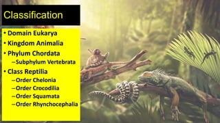 AMFIBIA DAN REPTILIA | PPT