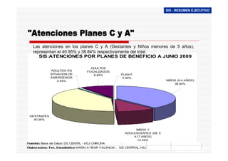 Sis Hospital San Jose Chincha Resumen Ejecutivo | PDF