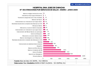 Sis Hospital San Jose Chincha Resumen Ejecutivo | PDF