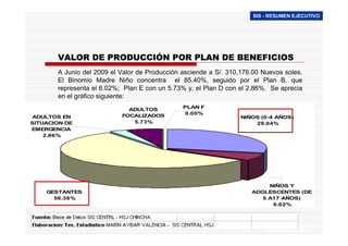 Sis Hospital San Jose Chincha Resumen Ejecutivo | PDF