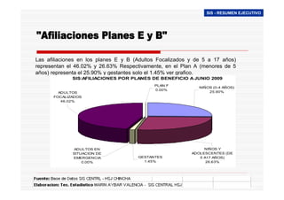 Sis Hospital San Jose Chincha Resumen Ejecutivo | PDF
