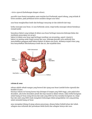 Sistem pencernaan | DOC