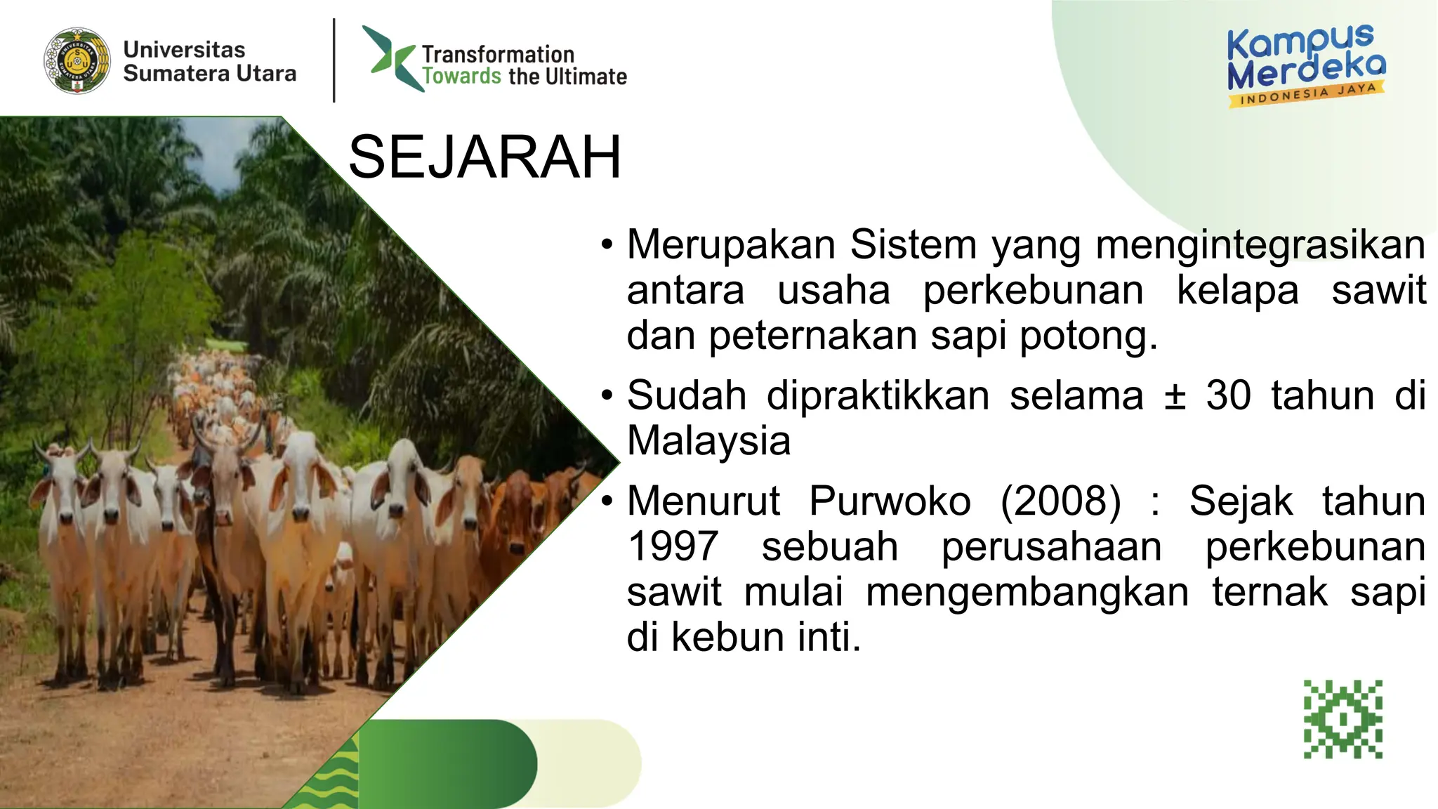 sistem integrasi kelapa sawit sapi potong | PPTX