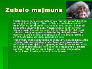 Sišmiši i majmuni - Lovro Likar | PPT