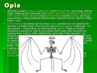Sišmiši i majmuni - Lovro Likar | PPT