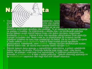Sišmiši i majmuni - Lovro Likar | PPT