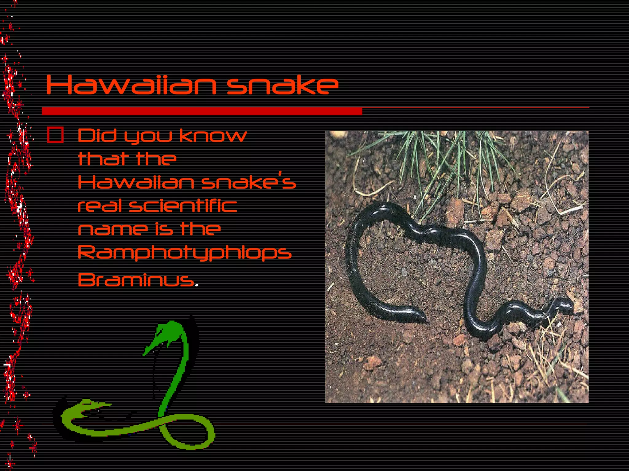 fact of snakes.. | PPT