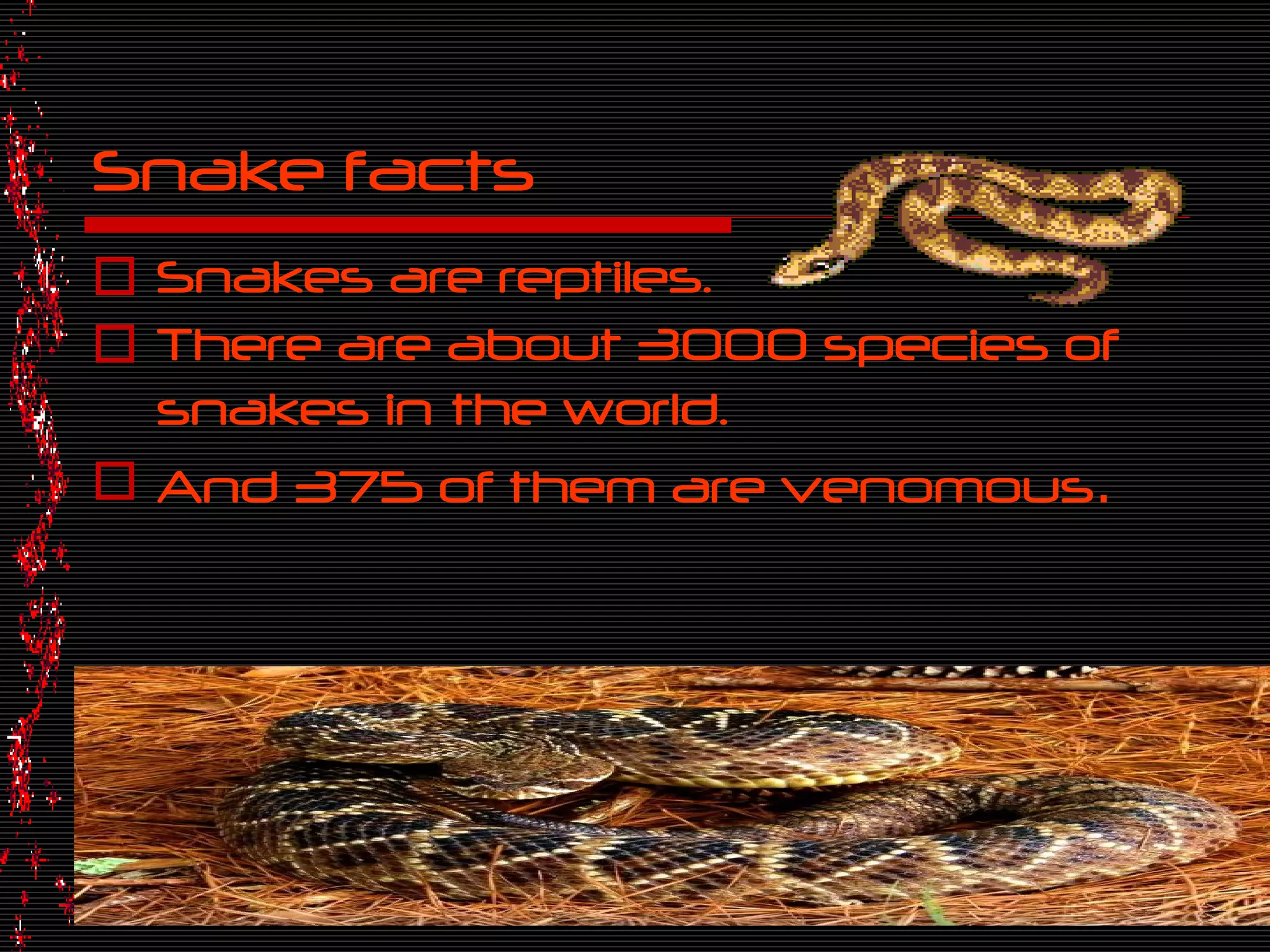 fact of snakes.. | PPT