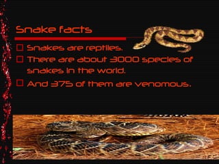 fact of snakes.. | PPT