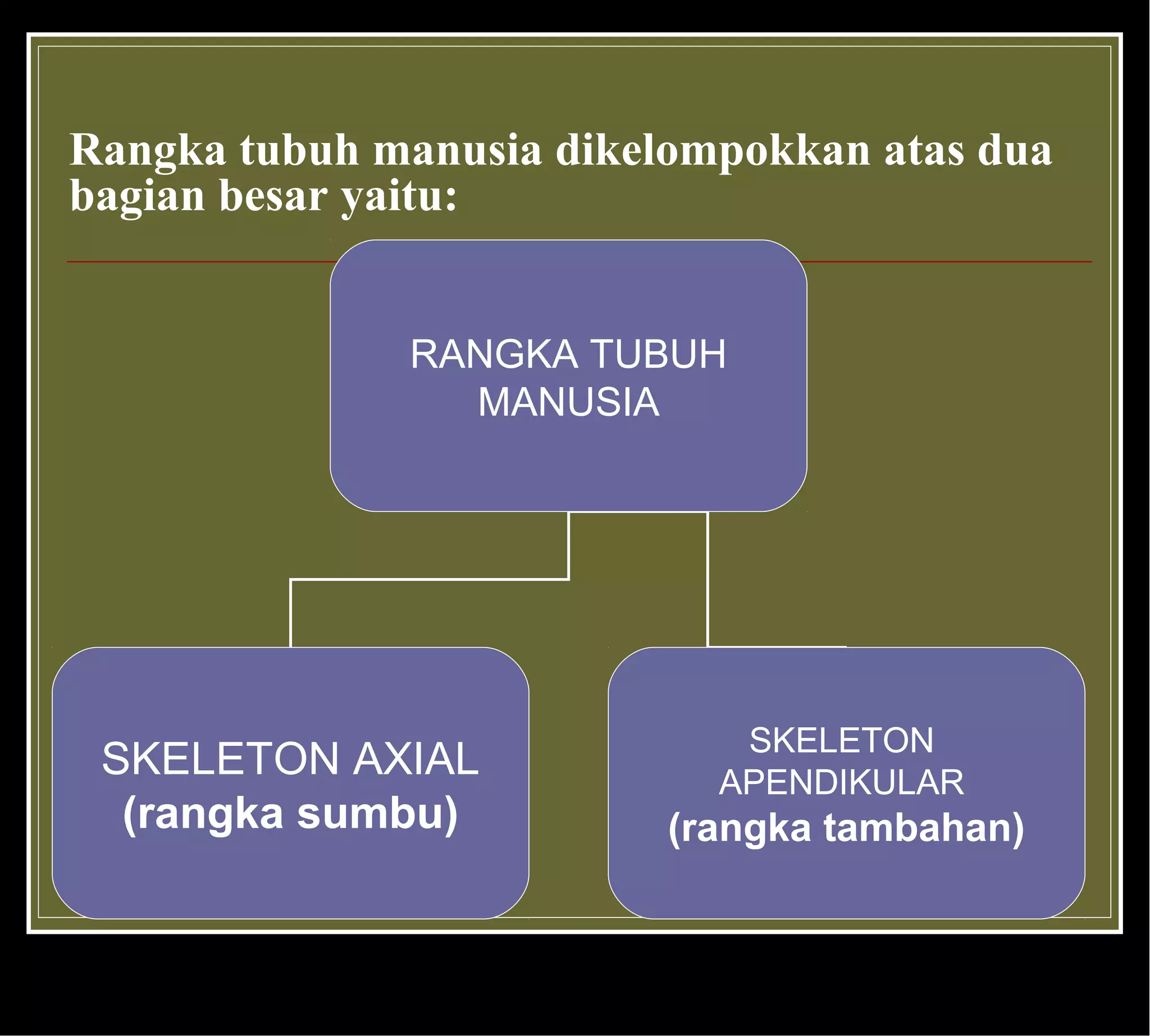 Sistem Rangka | PPT