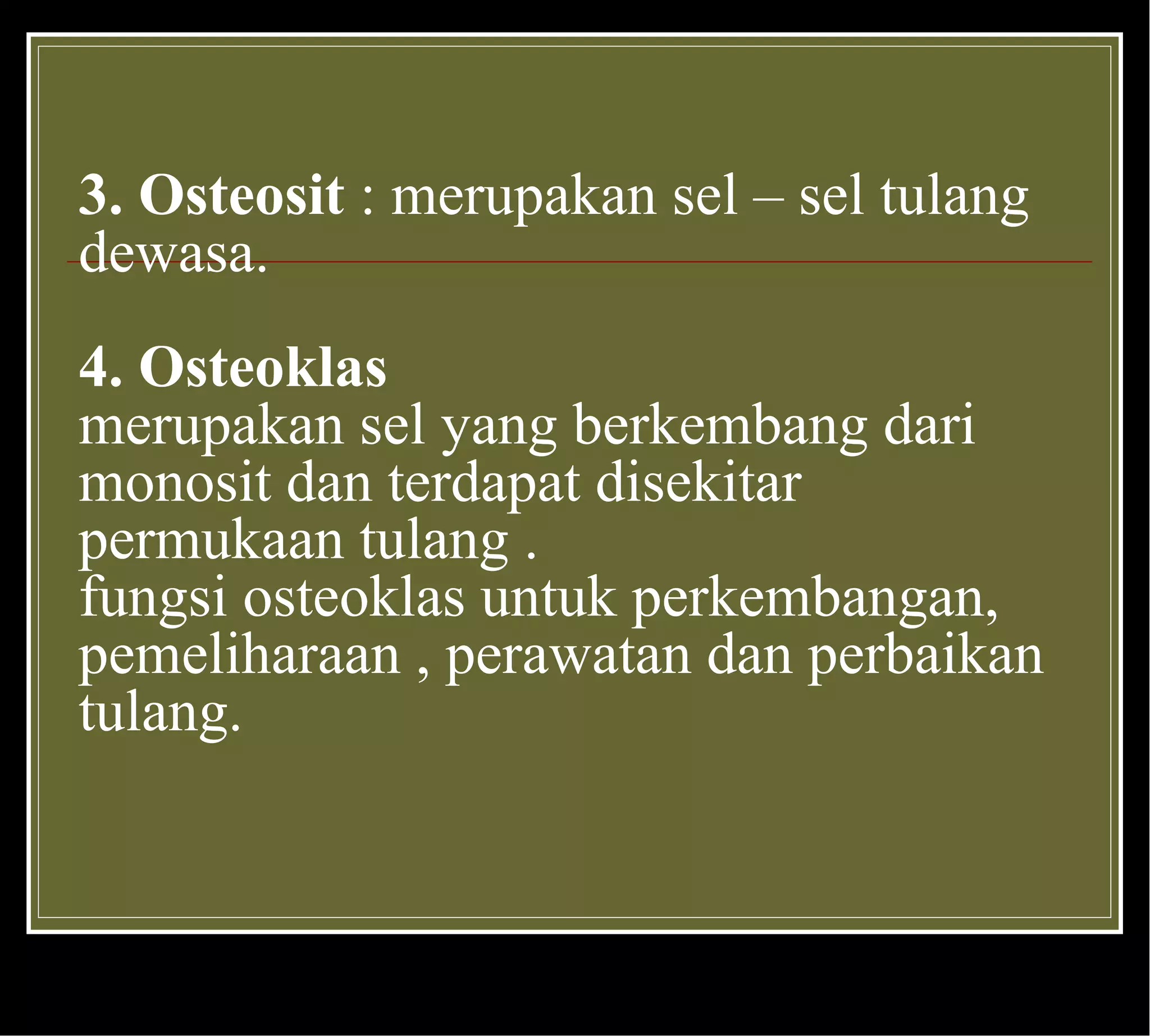 Sistem Rangka | PPT