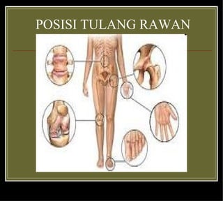 Sistem Rangka | PPT
