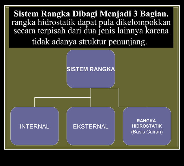 Sistem Rangka | PPT