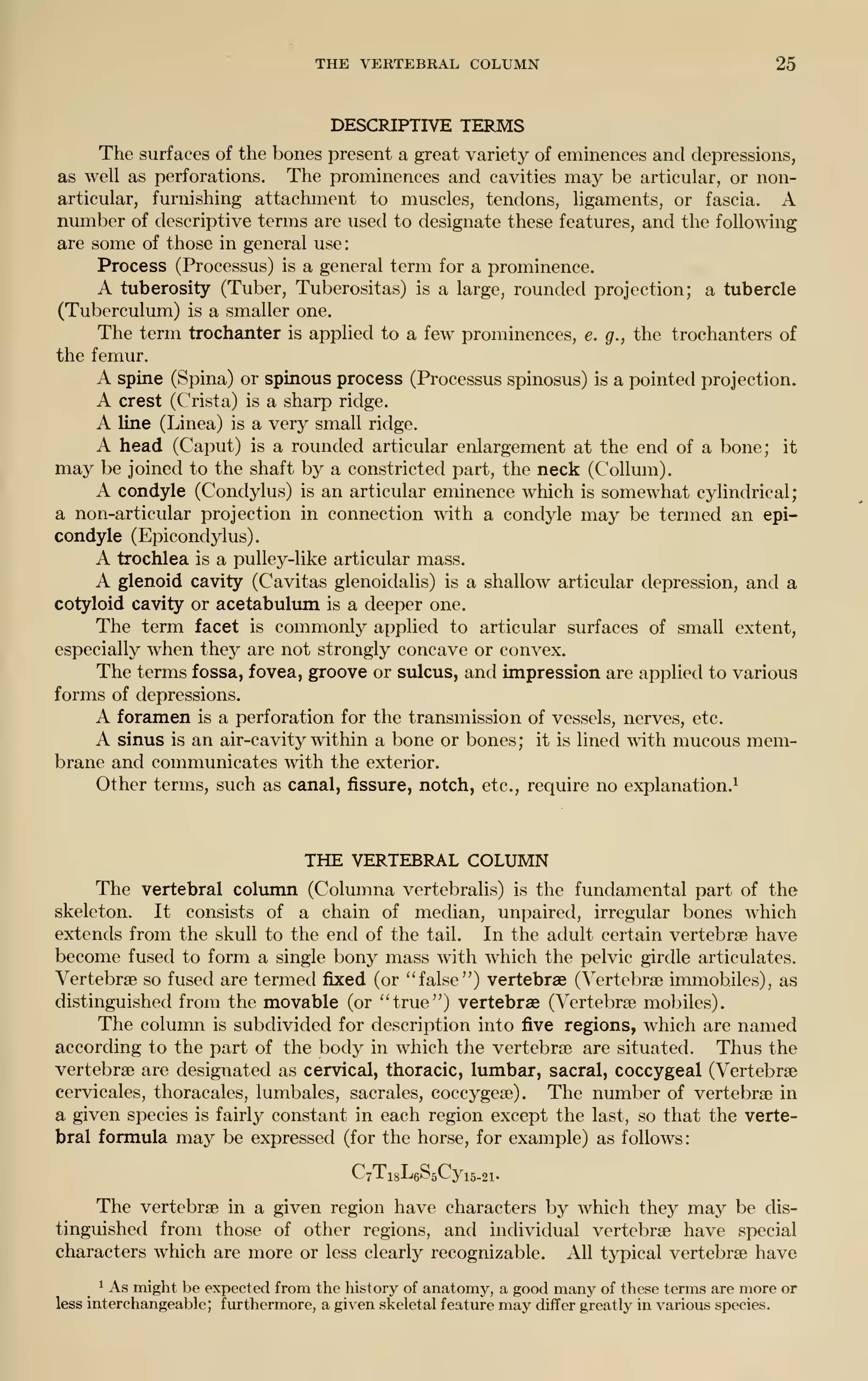 Sisson's anatomy (veterinary) | PDF