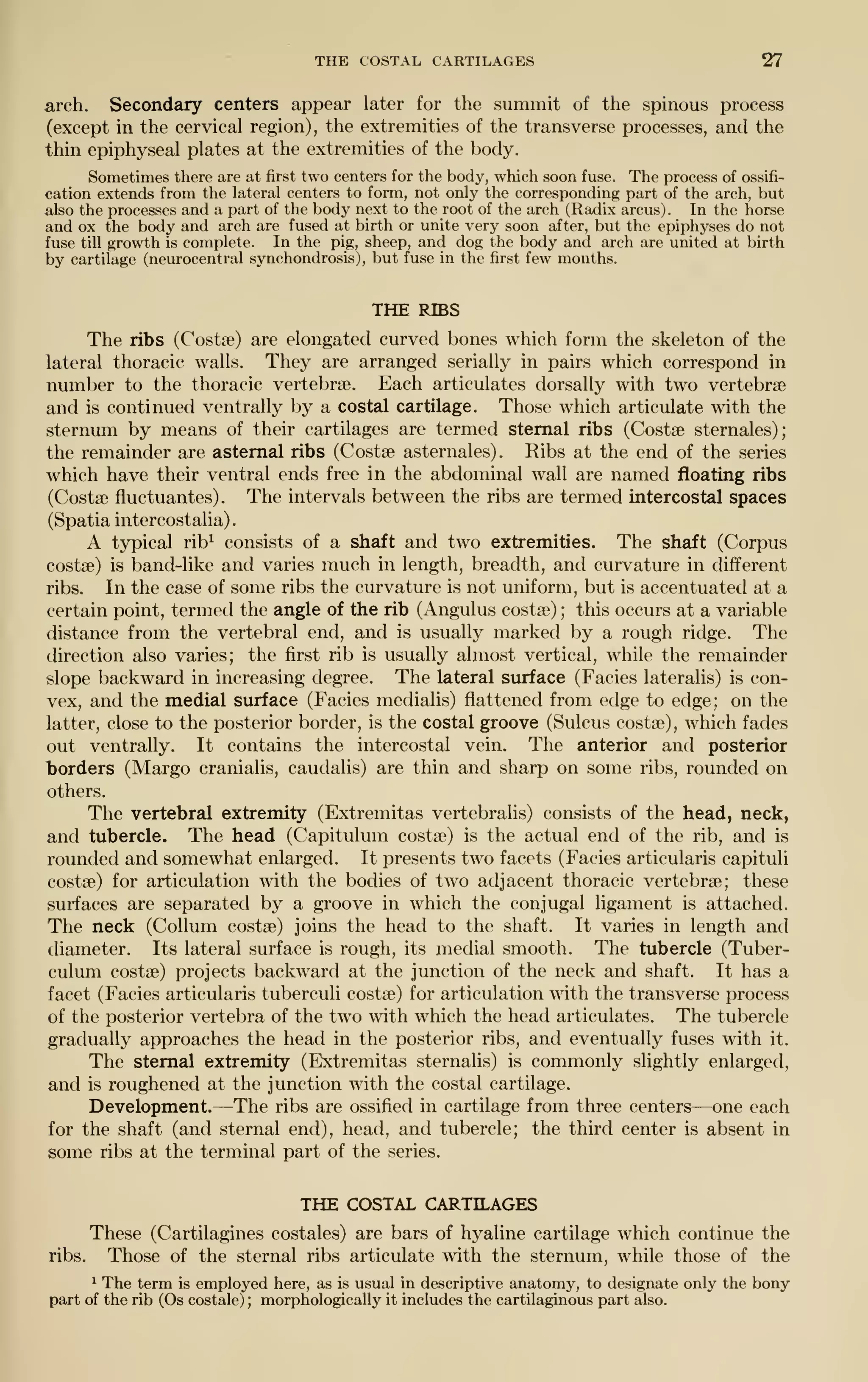 Sisson's anatomy (veterinary) | PDF