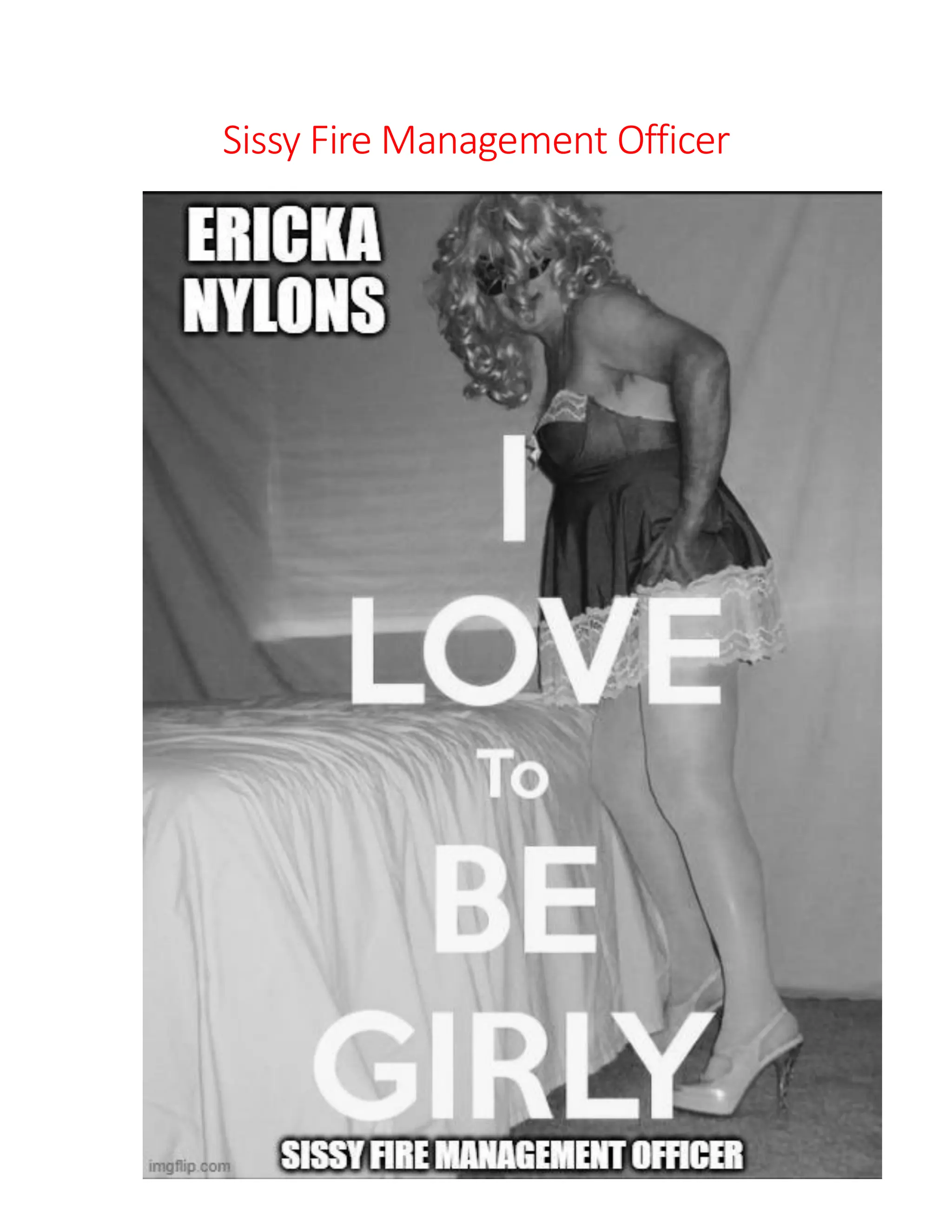 Sissy Fire Management Officer - Ericka Nylons | PDF