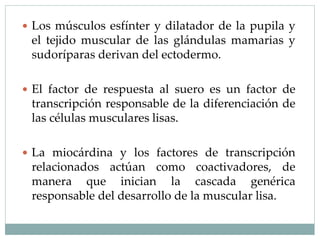 Embriología - Sistema músculo esqueletico | PPTX