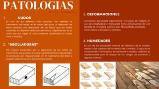 Sistema de losas en madera, acero y concreto | PDF