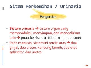 SISTem PERKEMIHAN anatomi fisiologi.pptx