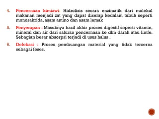 SISTem .PENCERNAAN anatomi fisiologi.pptx