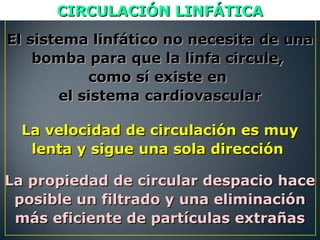 sistema linfatico | PPT
