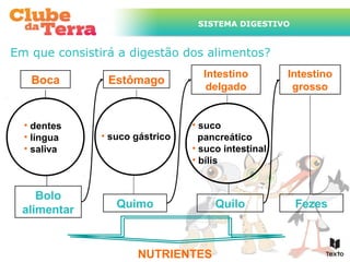 Sistema digestivo | PPT