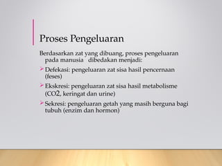 sistem.Ekskresi.manusia. wajib diketahui ppt | PPT
