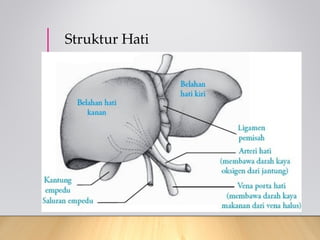 sistem.Ekskresi.manusia. wajib diketahui ppt | PPT