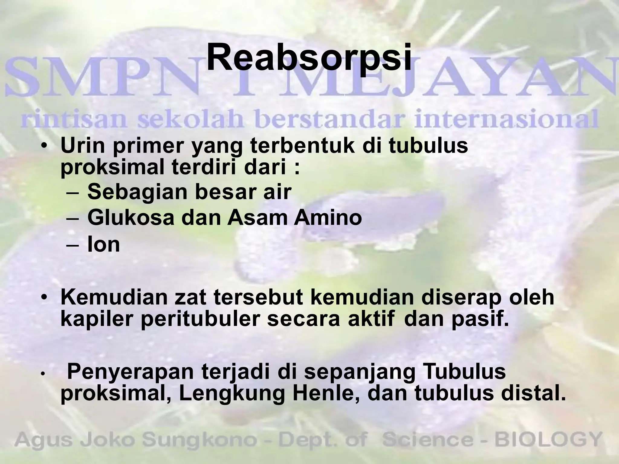 Sistem-ekskresi-PADA --MANUSIA.pptx.pptx