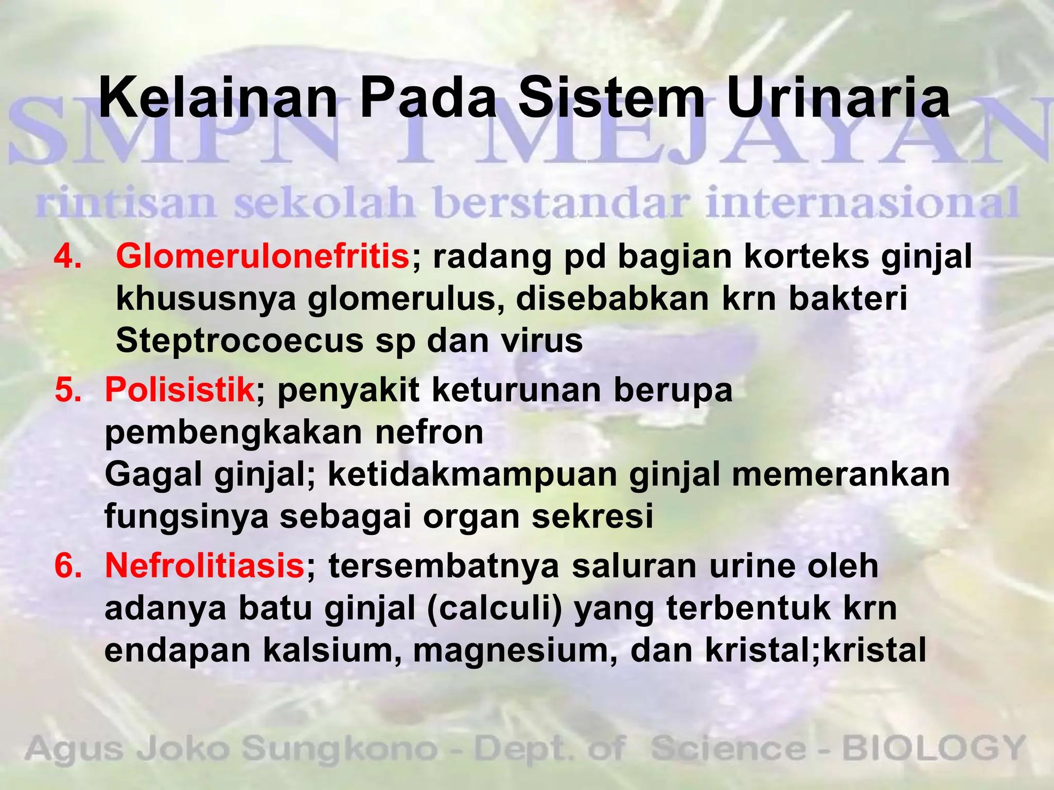 Sistem-ekskresi-PADA --MANUSIA.pptx.pptx
