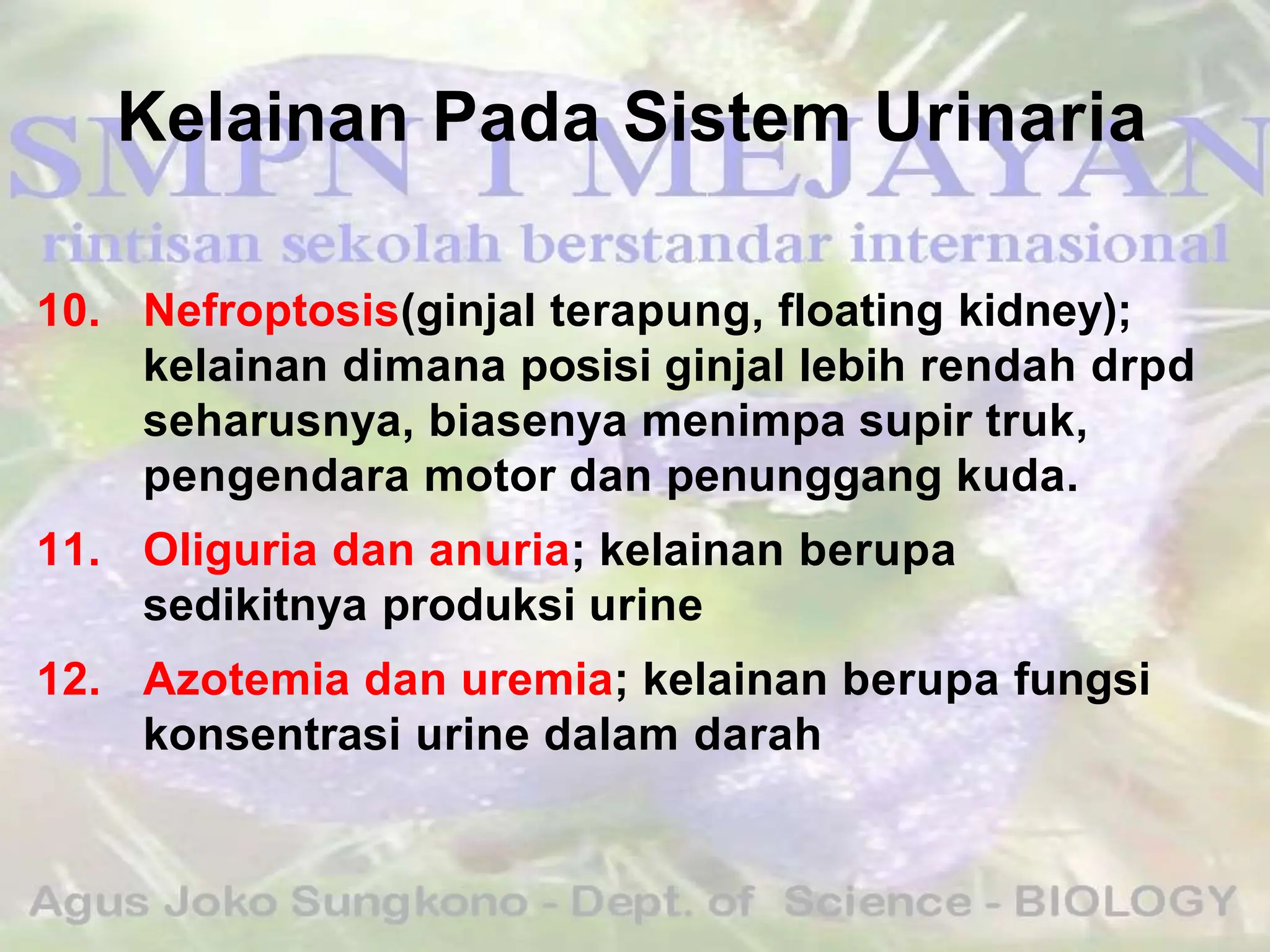 Sistem-ekskresi-PADA --MANUSIA.pptx.pptx