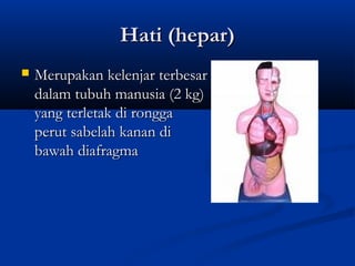 Sistem ekskresi-pada-manusia | PPT