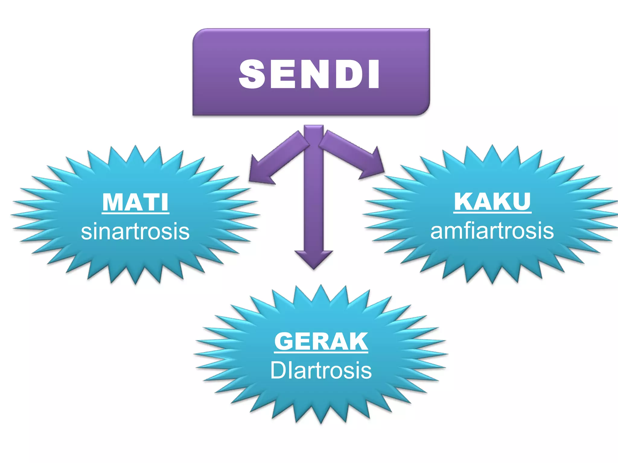 Sistem gerak untuk kelas 8 SMP | PPT