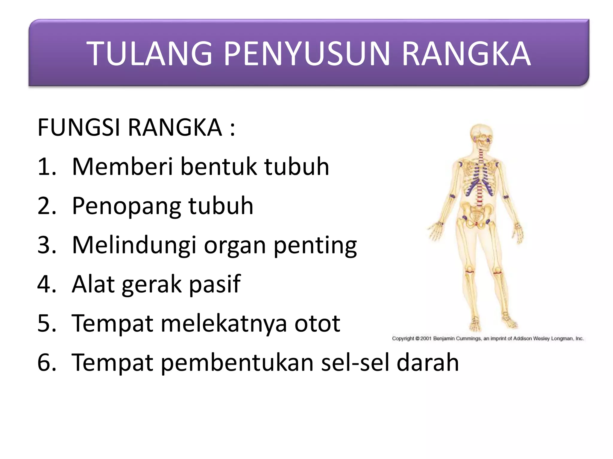 Sistem Gerak | PPT