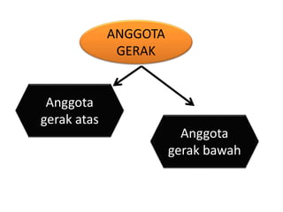 Sistem Gerak | PPTX