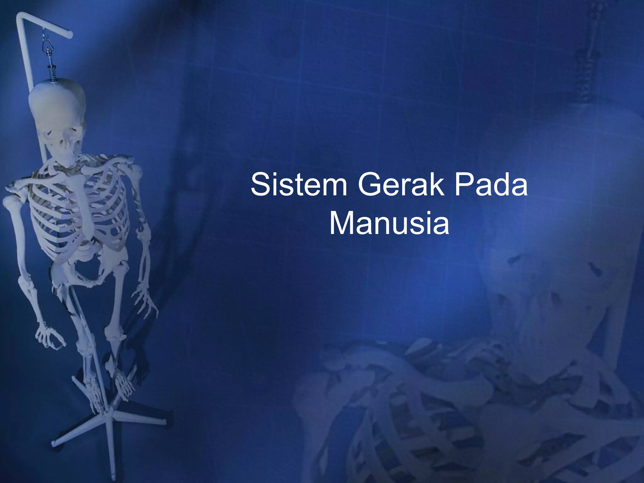 Sistem gerak-pada-manusia | PPT