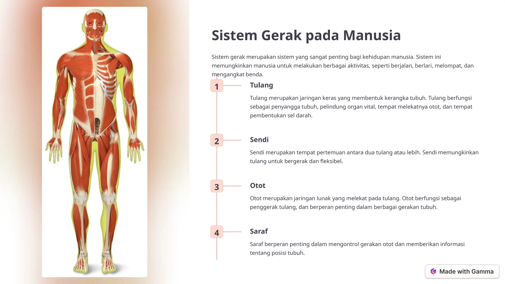 Sistem-Gerak-pada-Manusia-kelas-7SMP.pptx