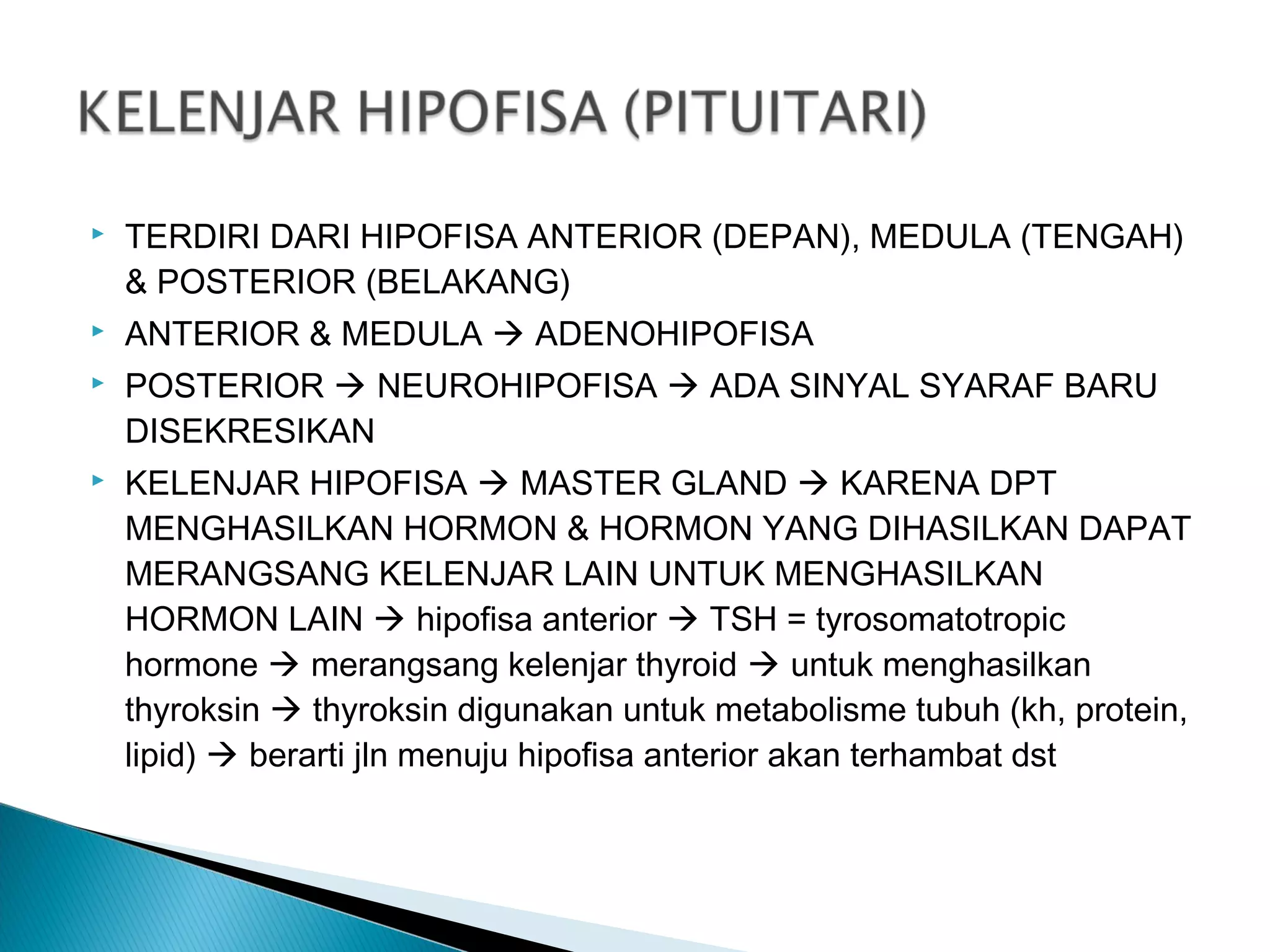 Sistem hormon-pada-manusia | PPT